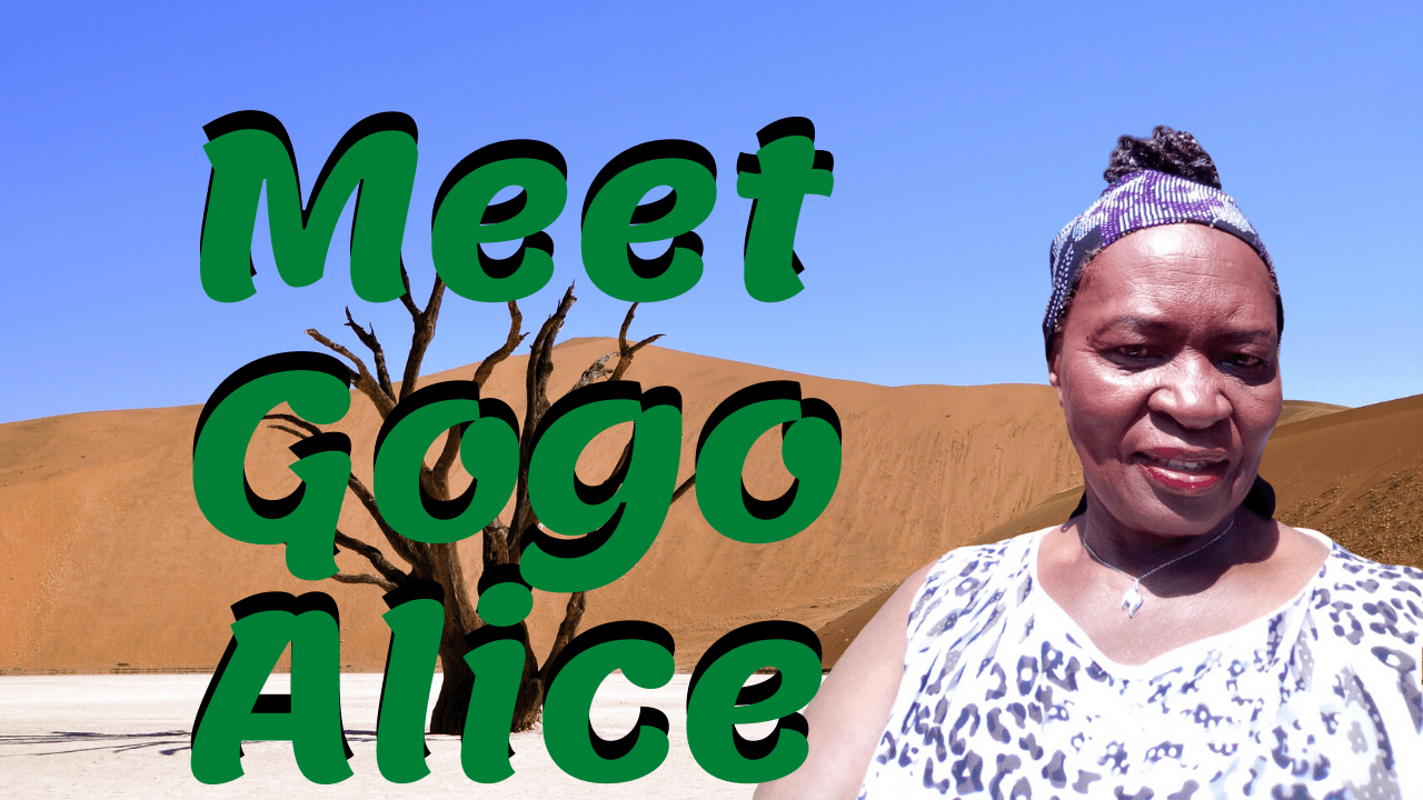 Meet Gogo Alice - Sarura Kids