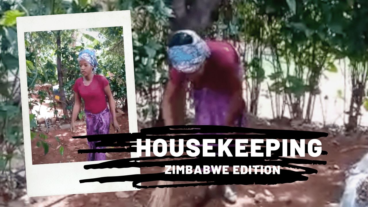 Kutsvaira pamba ne mutsvairo ku Zimbabwe - Sarura Kids