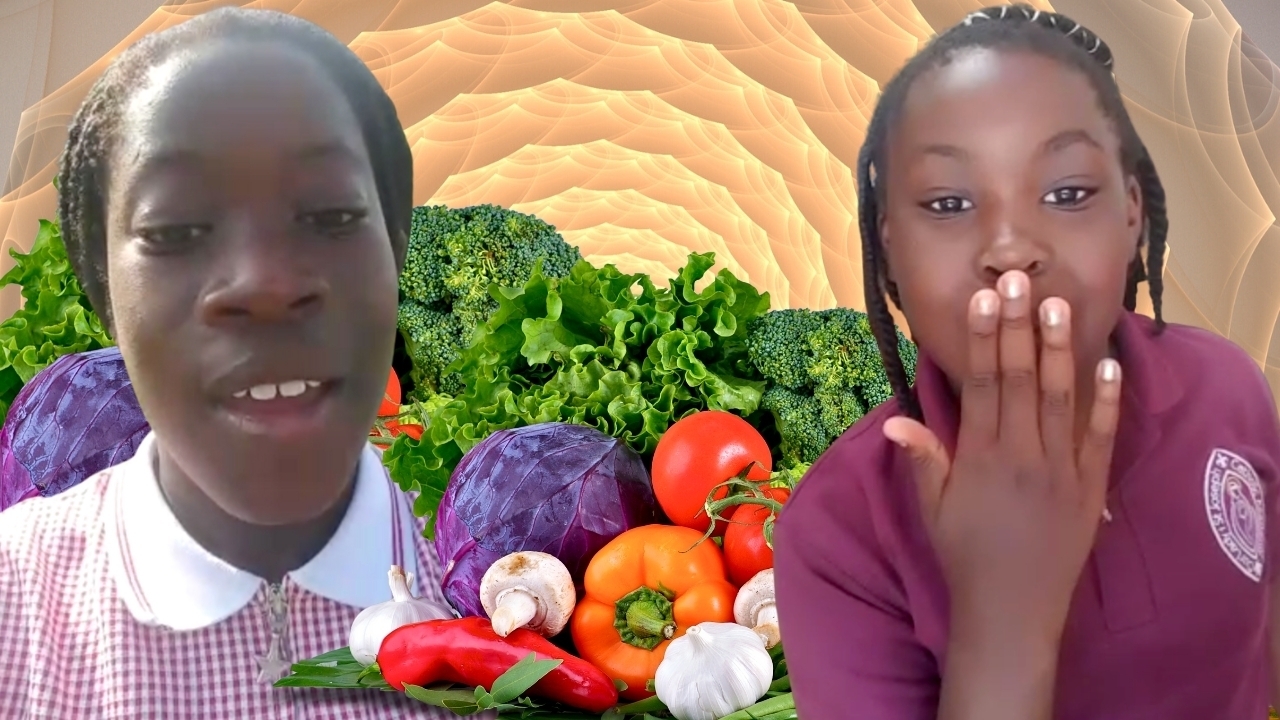 Ruva and Nyasha at the allotment - Sarura Kids